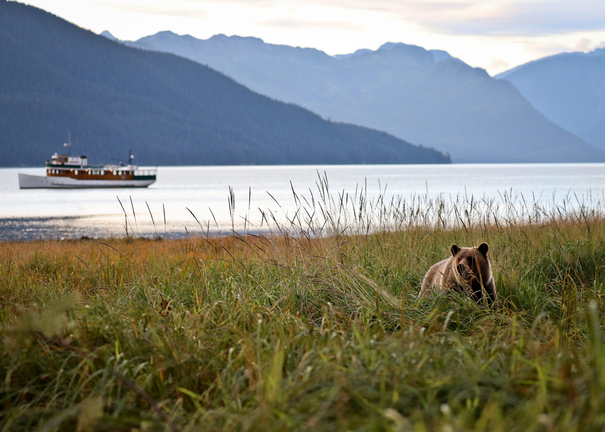 Alaska Yacht Charters on MV Discovery | Alaska Charters